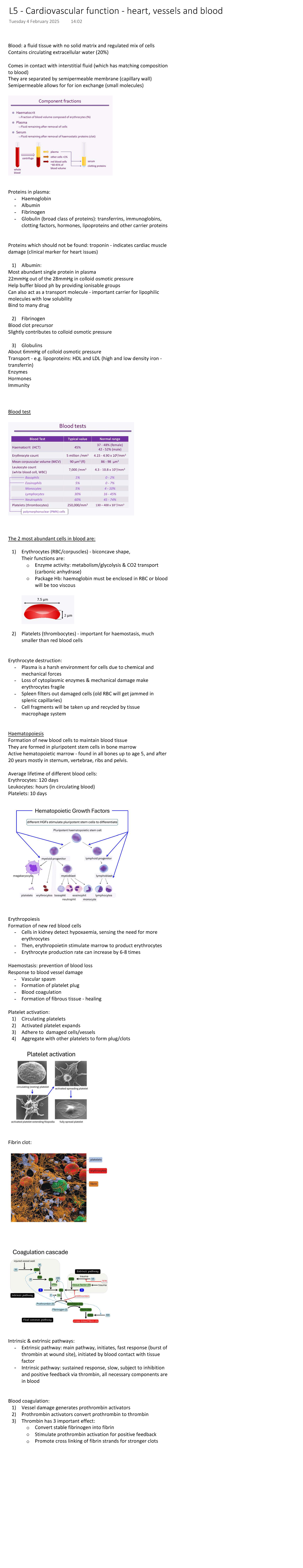 L5 Cardiovascular Function: Heart, Vessels, and Blood Overview - Studocu