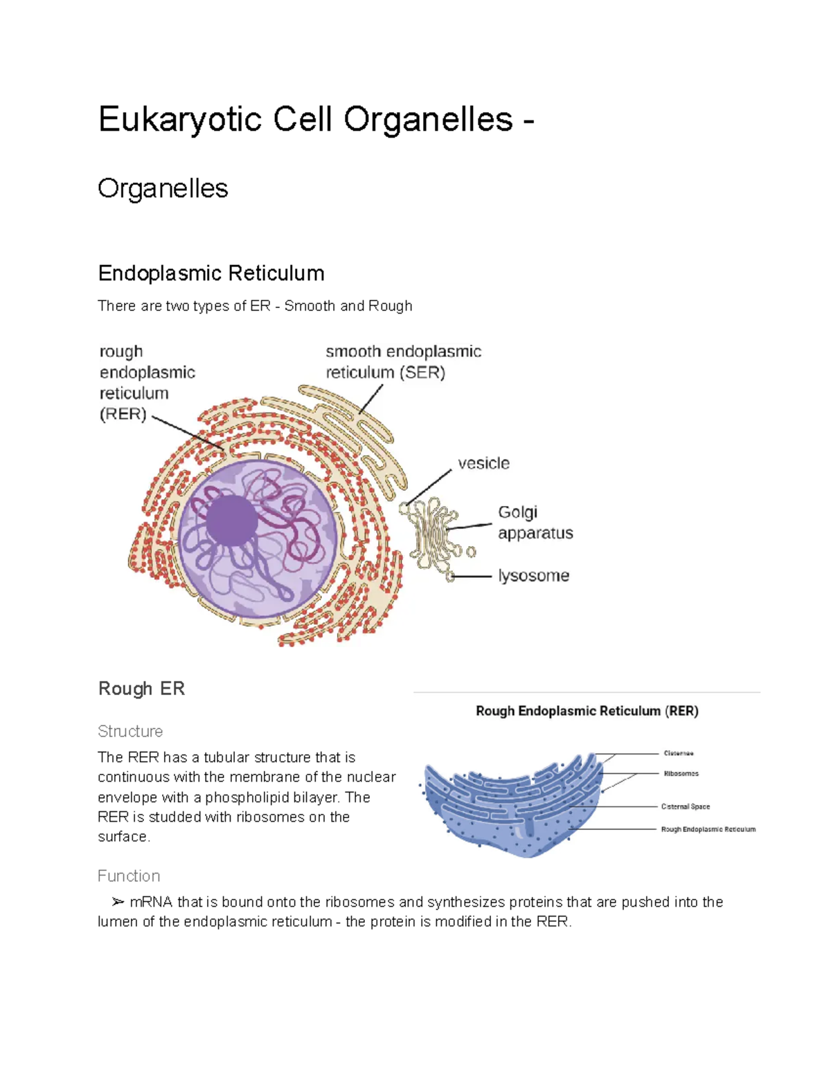 Animal CELL Plant CELL Notes - Eukaryotic Cell Organelles - Organelles ...