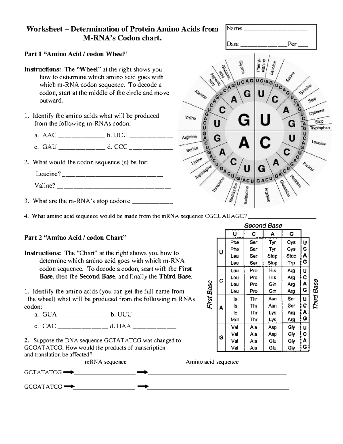 4. codon ws - Genetic coding and DNA - Worksheet – Determination of ...
