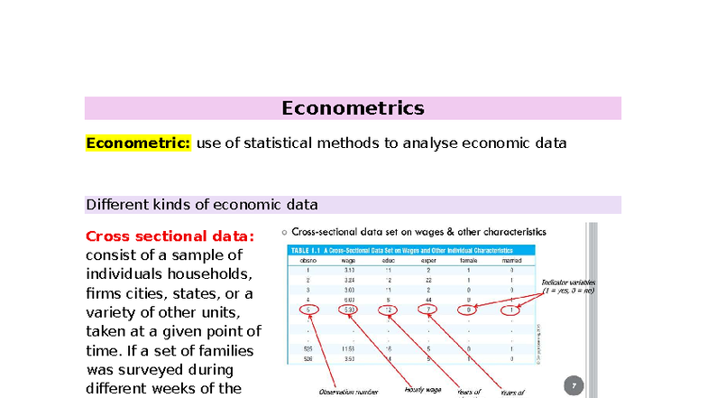 Econometrics: Analyzing Economic Data with Statistical Methods - Studocu