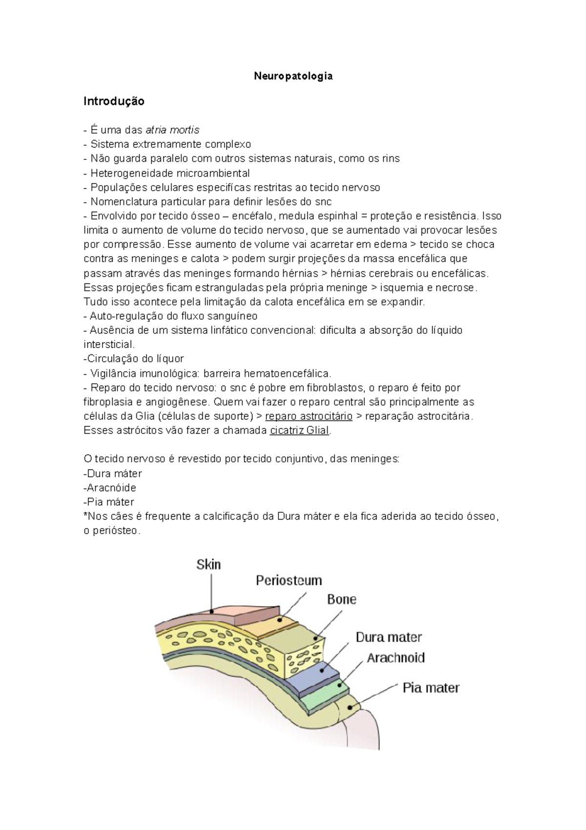 Neuropatologia resumo para a prova - Neuropatologia Introdução - É uma ...