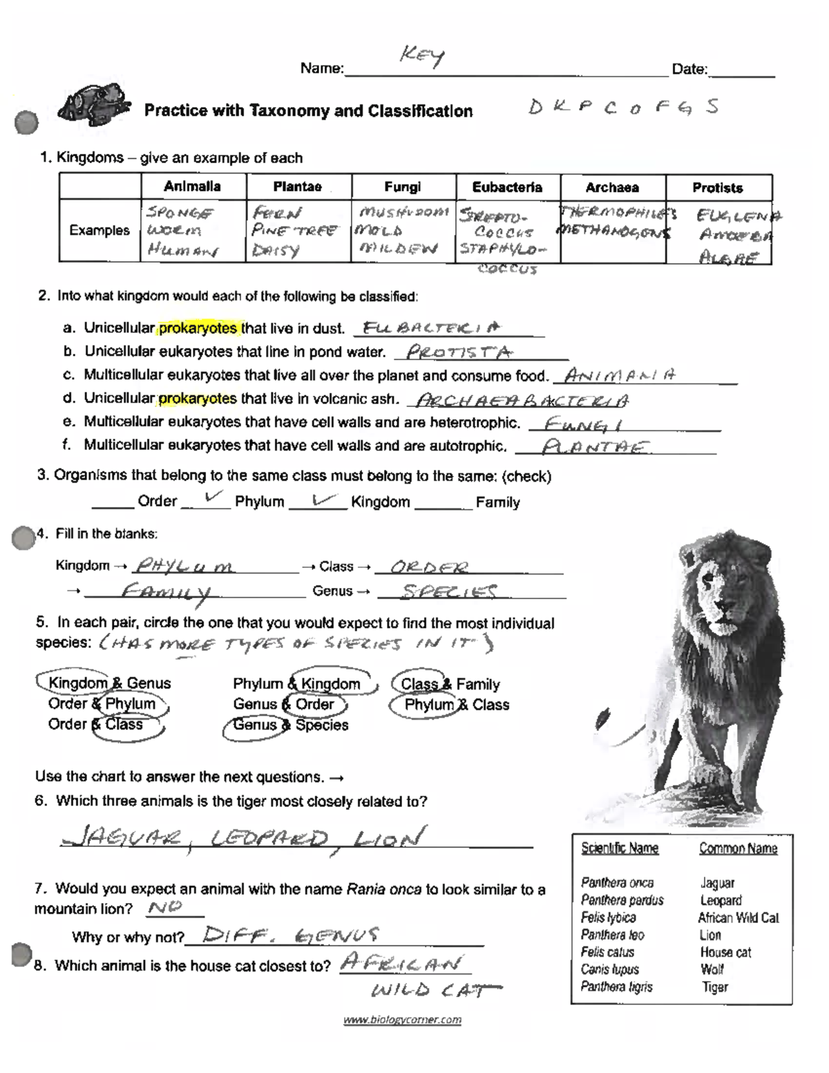 Practice Taxonomy Classification Worksheet Key - Studocu