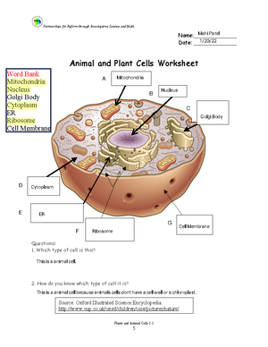 [Solved] What is the formula for Force Group of answer choices FMA FMX ...