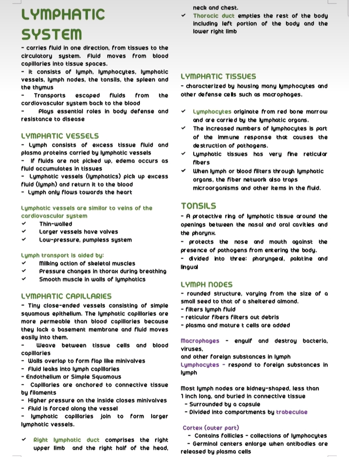 Lymphatic System Overview - Anatomy and Physiology Notes - Studocu