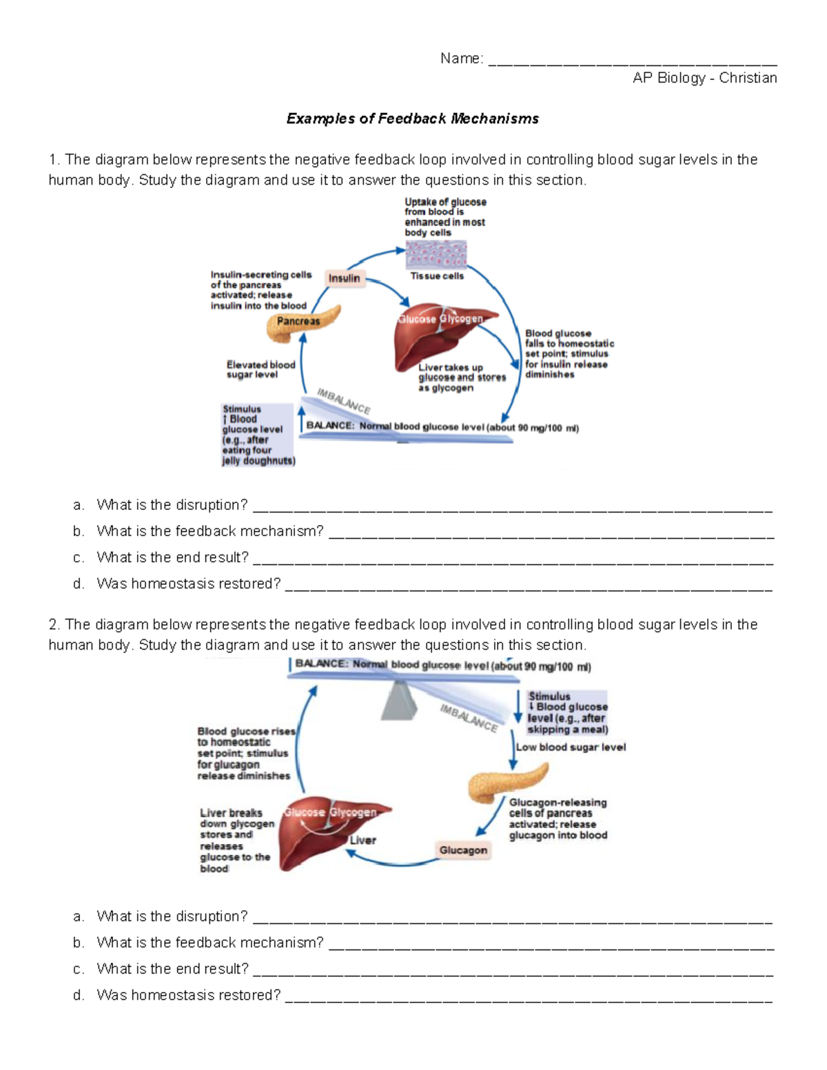 Feedback mechanisms practice - Name ...
