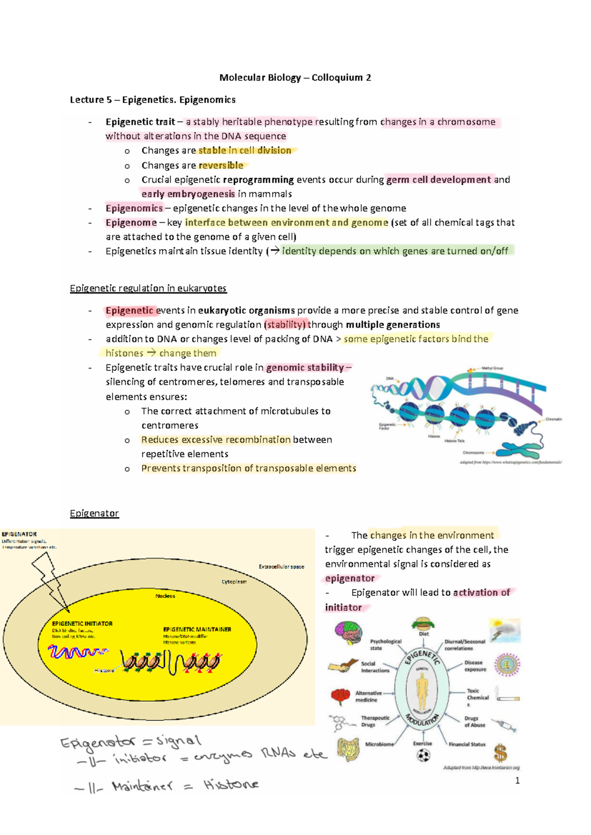 Molecular Biology Colloquium 2: Lecture 5 - Epigenetics - Studocu