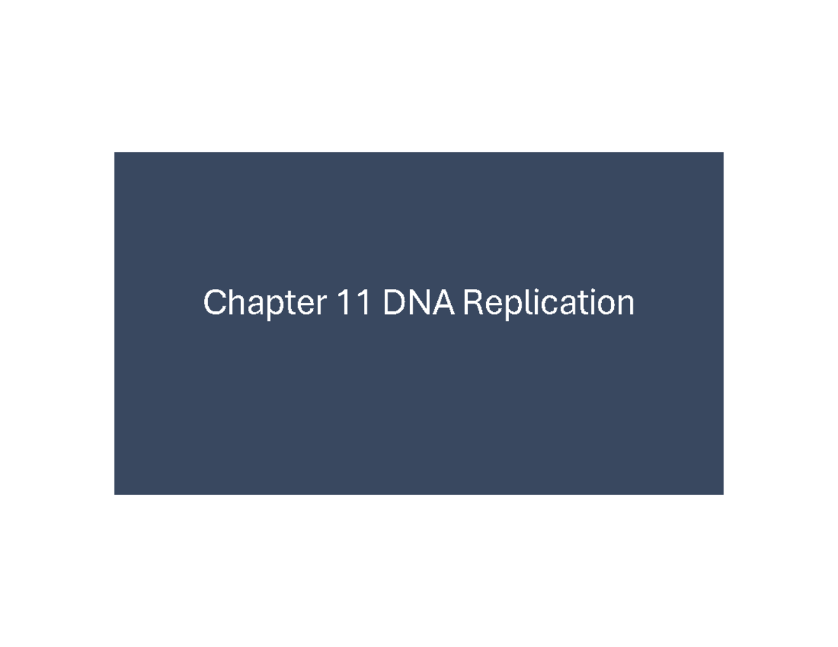 Chapter 11: DNA Replication Processes and Key Enzymes - Chapter 11 DNA ...