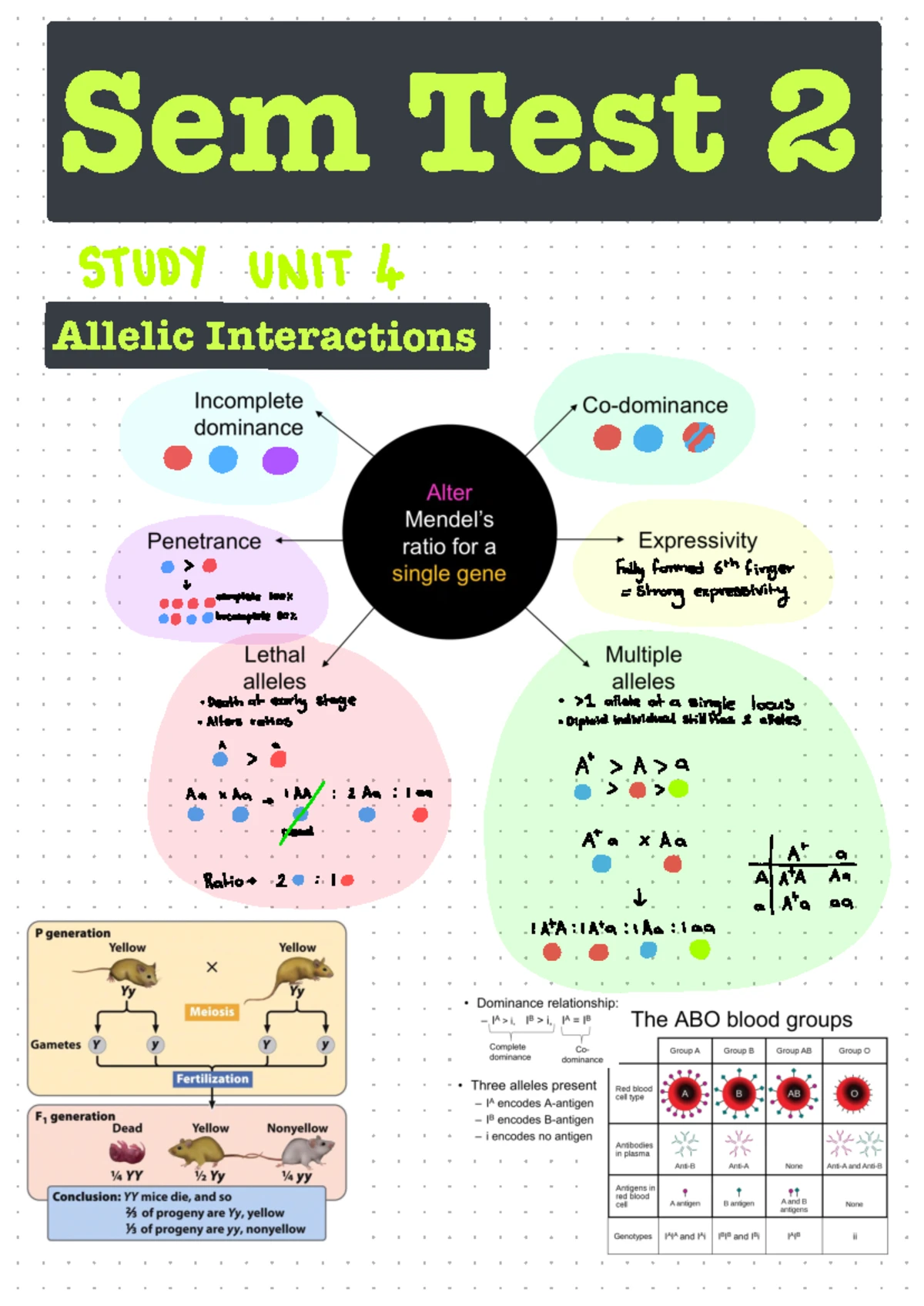GTS 161 Semester Test 2 Memo - 2019 Overview & Key Questions - Studocu