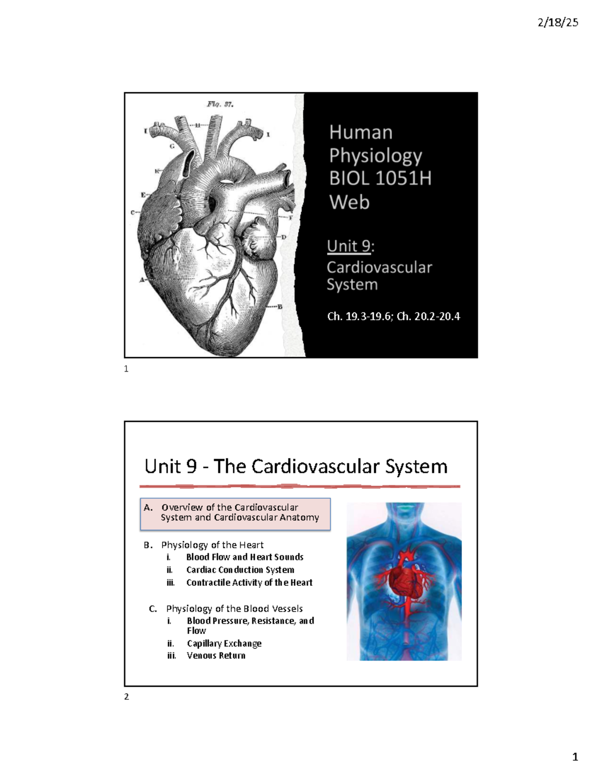 Cardiovascular System Overview: Anatomy & Physiology (Ch. 1 Unit 9 ...