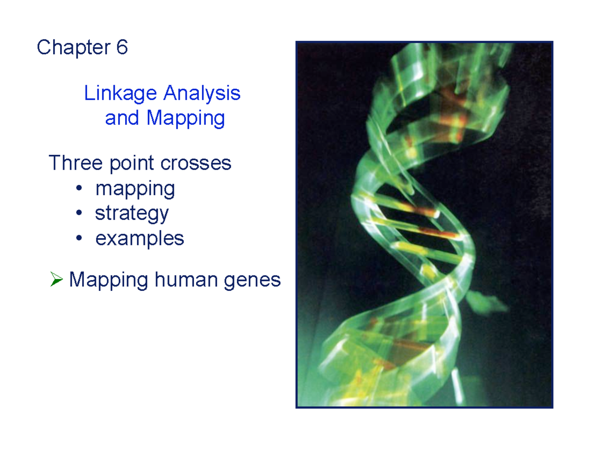 Genetic Mapping Techniques: A Study on Three Point Crosses - Studocu