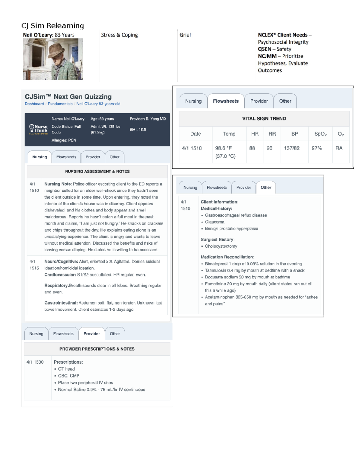 Wk 8 CJ Sim Relearning: Coping with Grief & Client Needs Assessment ...