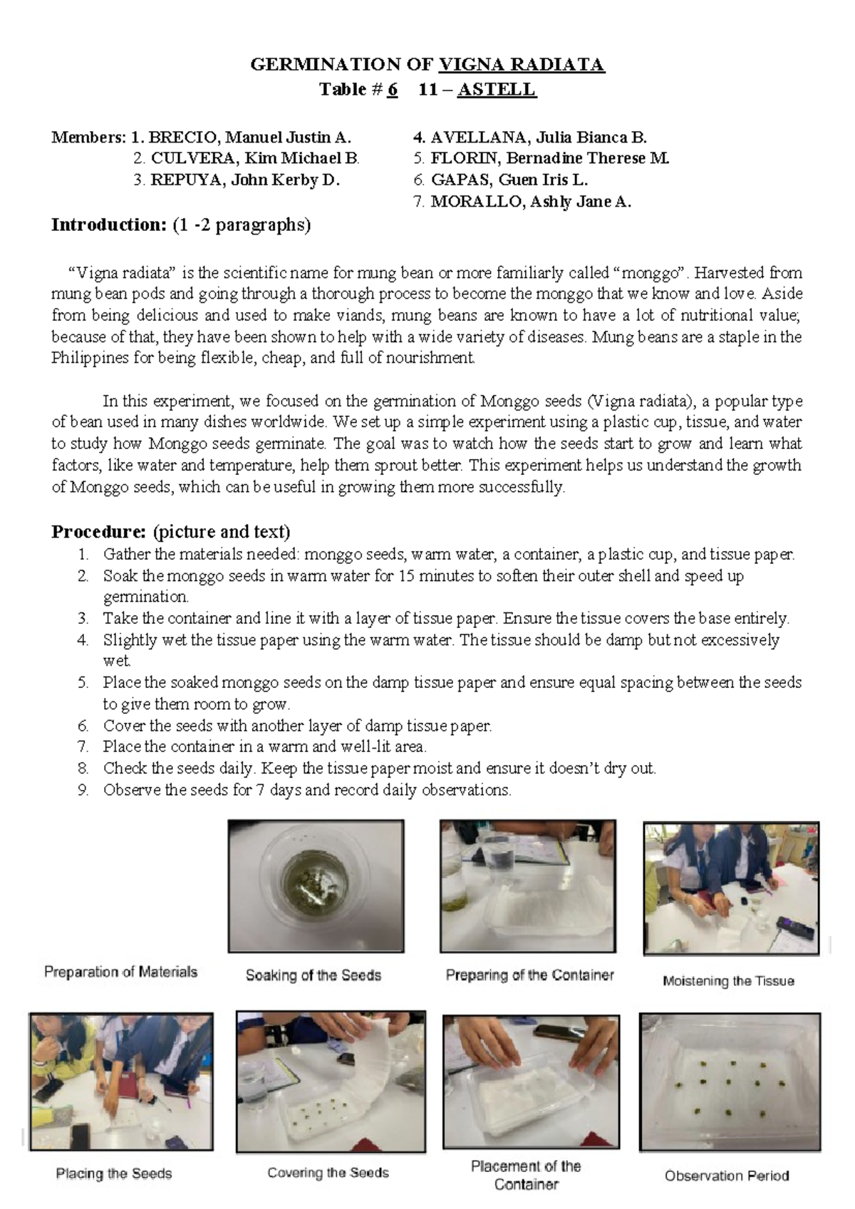 LAB Report: Germination of Vigna Radiata (Monggo Seeds) - Studocu