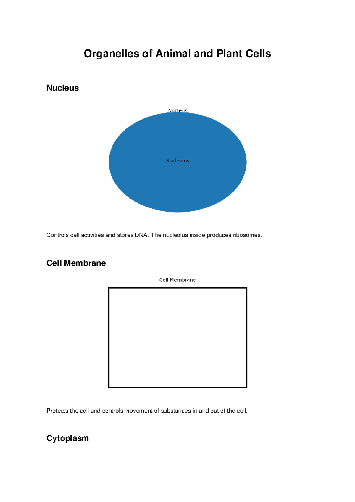 Cell Organelles Notes: Animal & Plant Cells Overview - Studocu