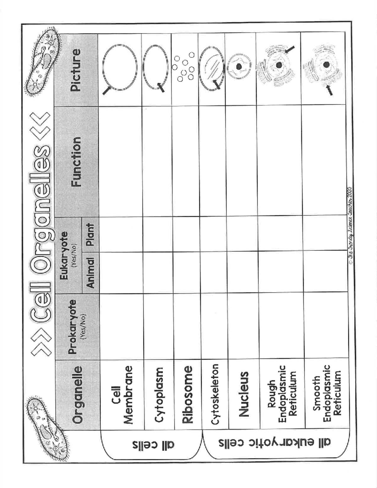 Organelle Chart - Its the key for the test w study guide - Cell ...