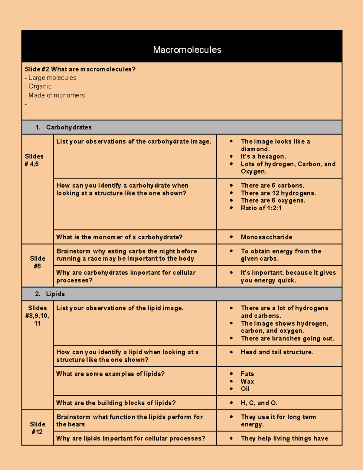 Macromolecule Student Document-1 - Copy - Macromolecules Slide #2 What ...