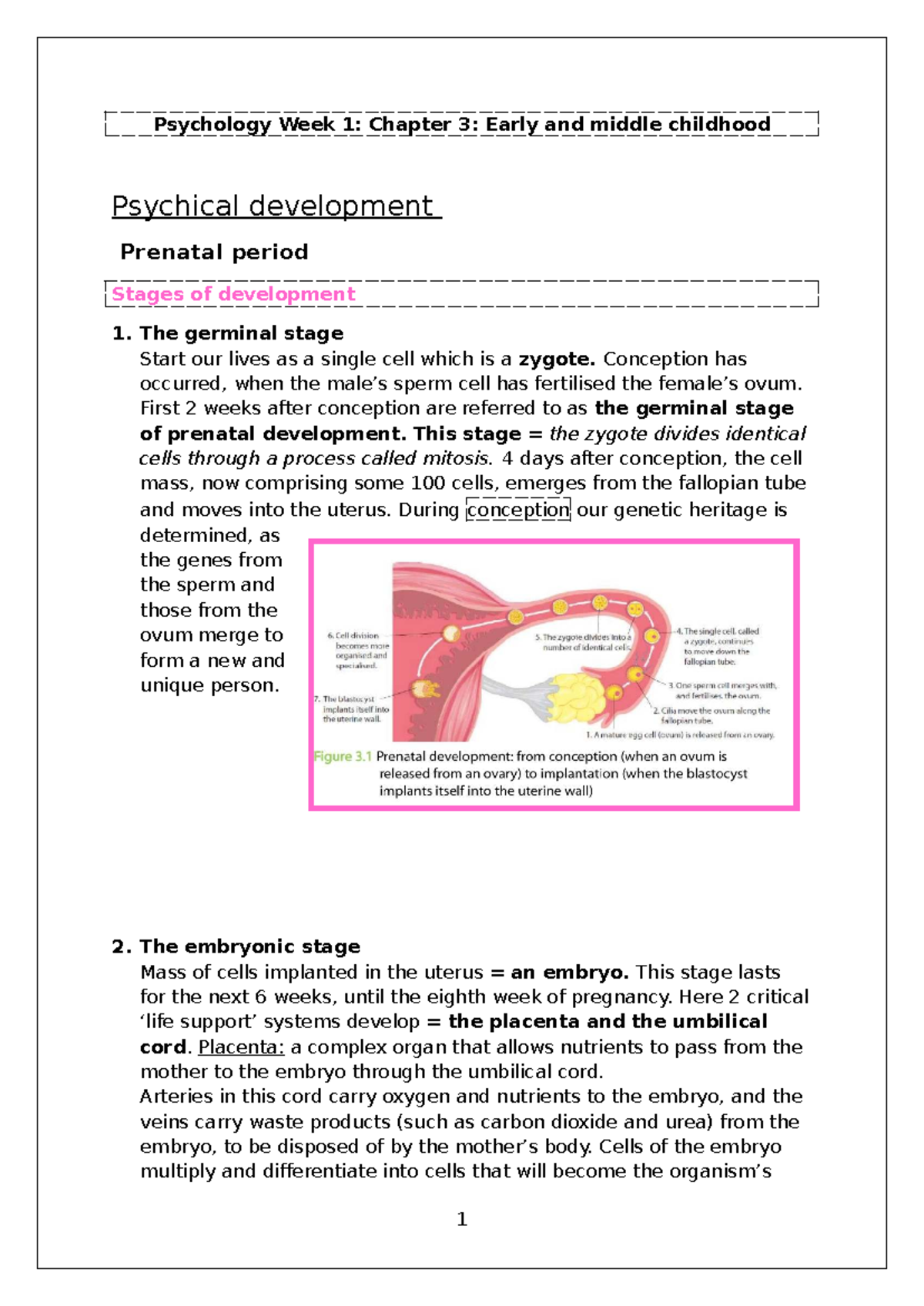 Psychology 144: Week 1 Notes on Early and Middle Childhood Development ...