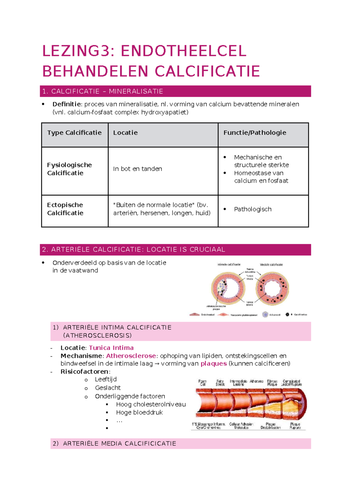 LEZING3: SAMENVATTING VAN ENDOTHEELCEL BEHANDELING EN CALCIFICATIE ...