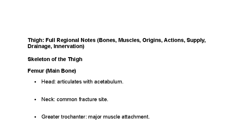 Thigh Muscles: Comprehensive Notes on Anatomy and Innervation - Studocu
