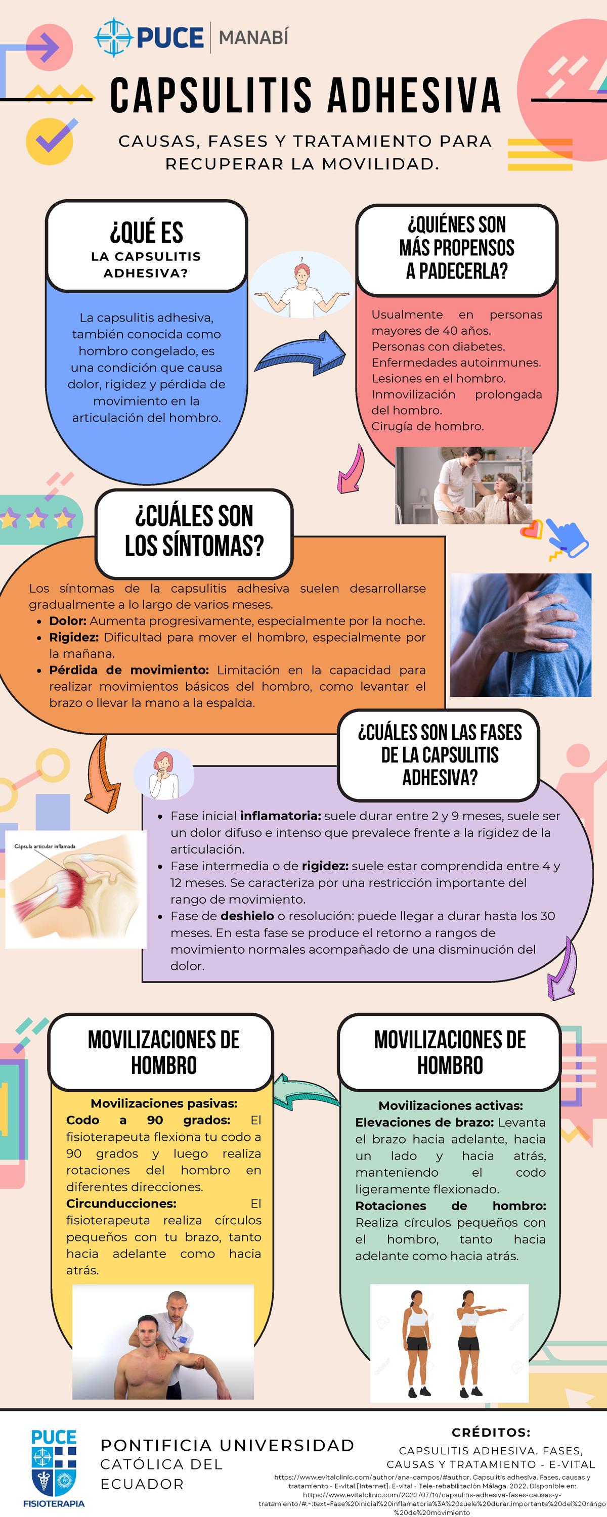 Infografía sobre Capsulitis adhesiva - Fase inicial inflamatoria: suele ...