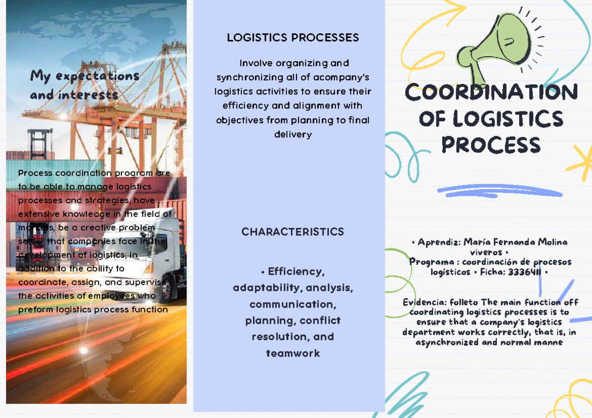 LOGISTICS PROCESSES: Coordination Program Insights by M. F. Molina ...