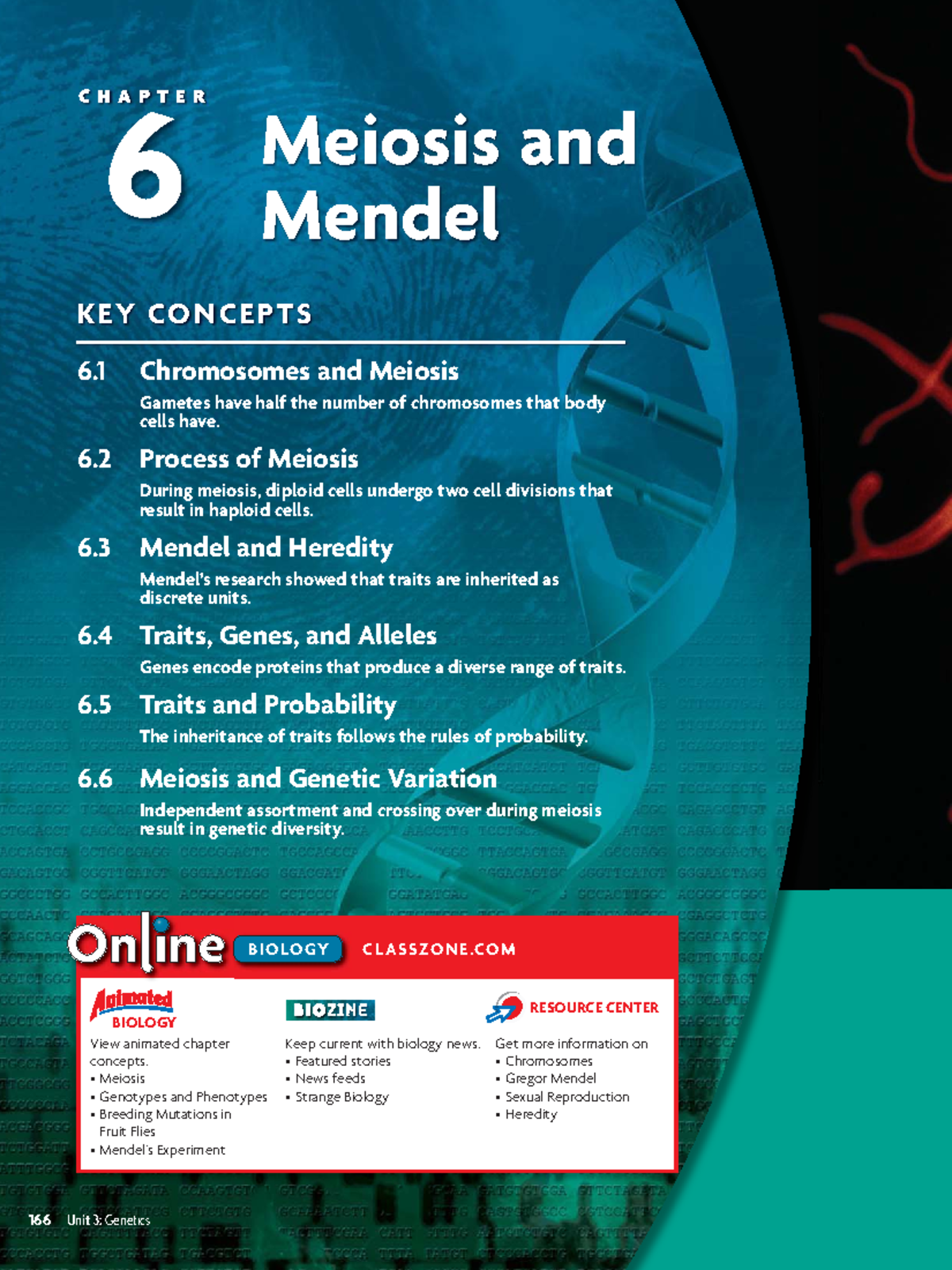 Chapter 6: Meiosis & Mendel - Key Concepts in Genetics - Studocu