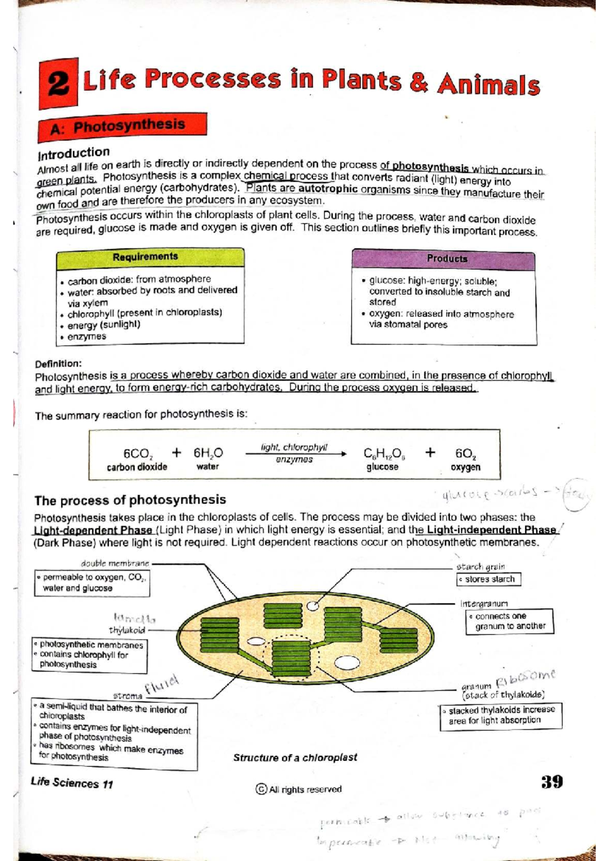 Grade 11 Life Sciences: Photosynthesis Overview and Experiments - Studocu