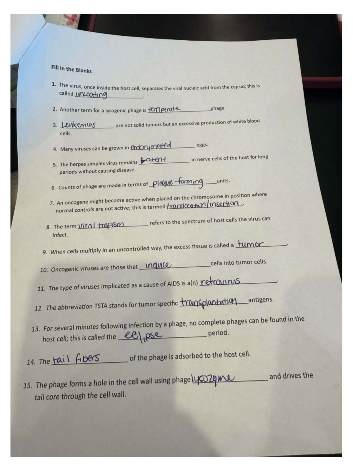 Week 5 - Class Questions on Viral Mechanisms and Outbreaks - Studocu