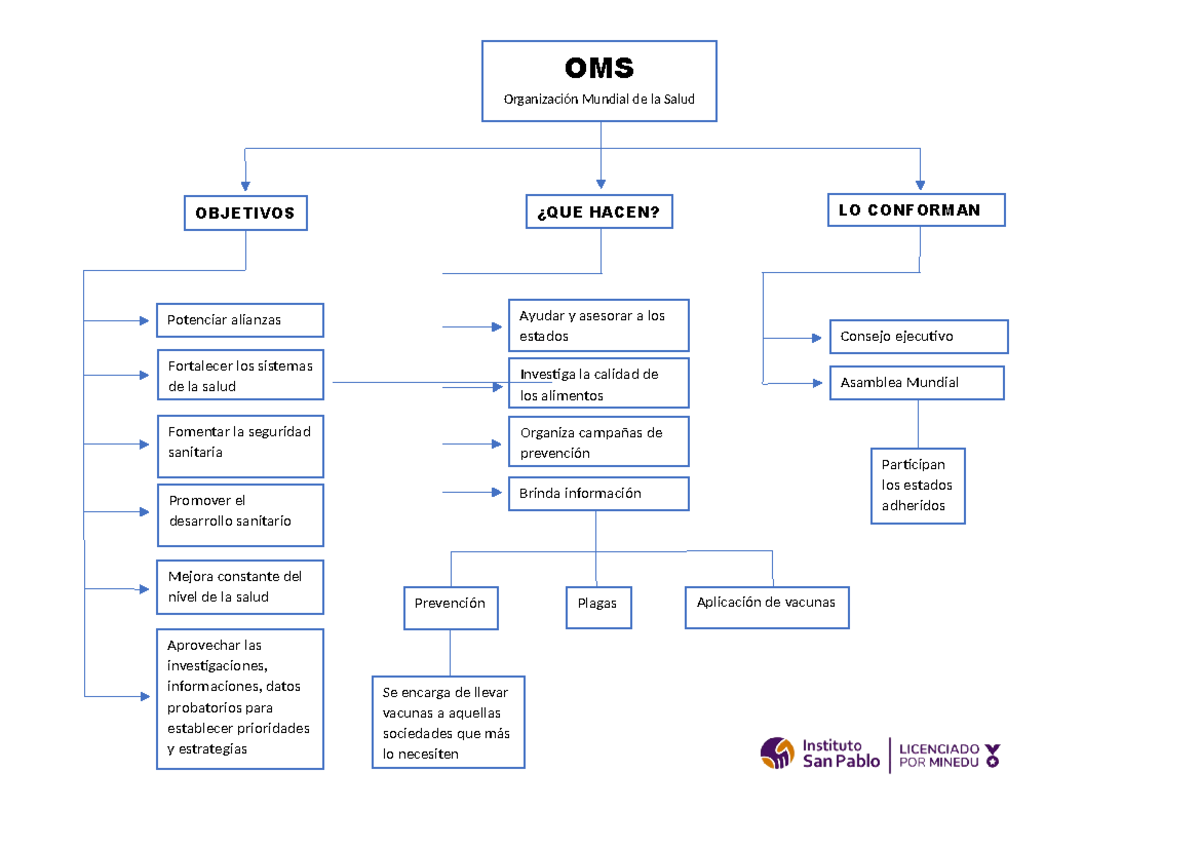 MAPA Conceptual DE QUE SE Encarga LA OMS - OMS Organización Mundial de la Salud OBJETIVOS ¿QUE ...