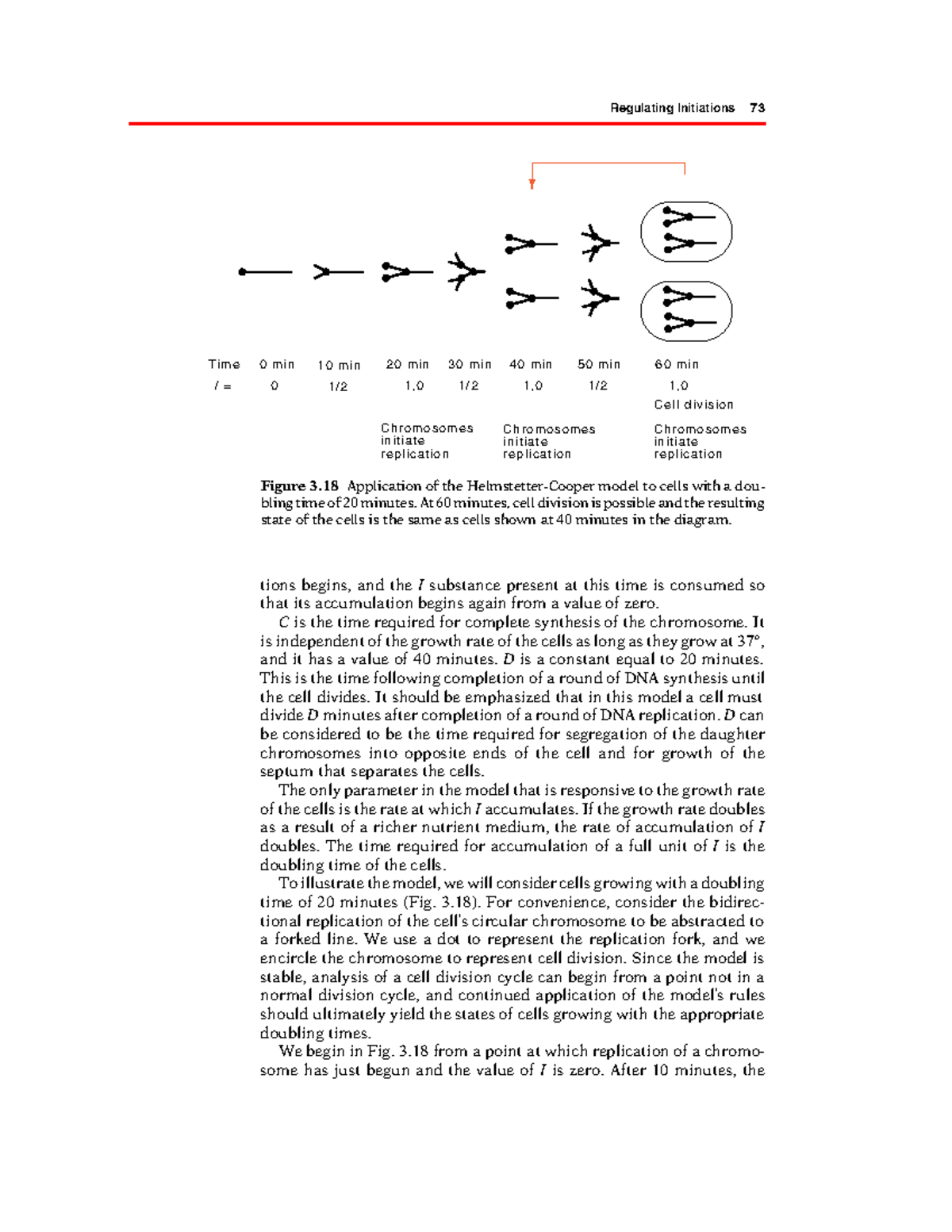 Genetics and Molecular Biology – Part 45: Chromosome Replication Model ...