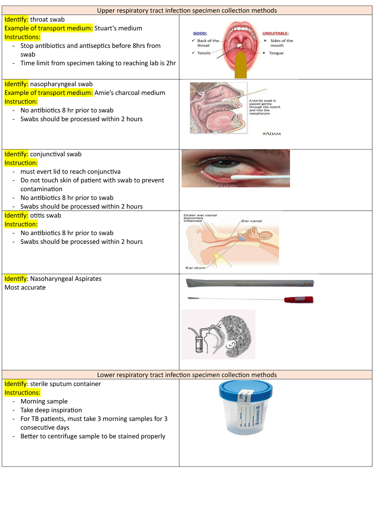 Microbiology Summary: Specimen Collection & Identification Methods ...