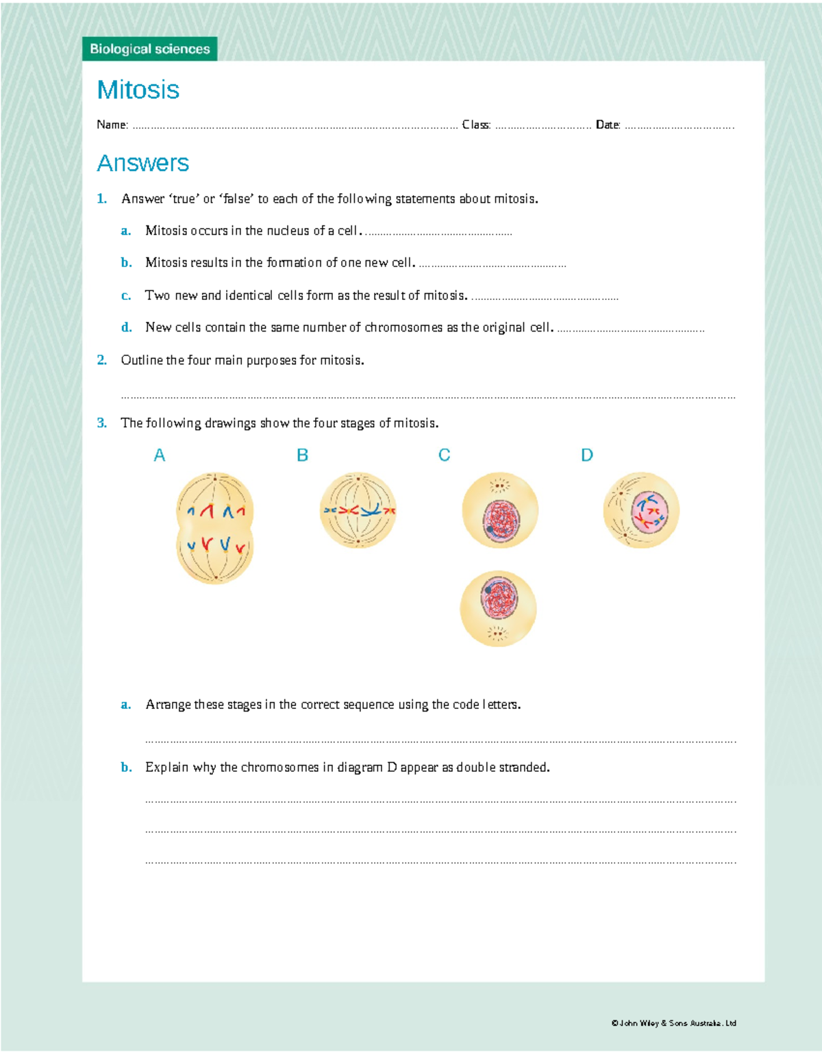 Ewbk-13038 - Mitosis Study Guide and Answer Key - Studocu