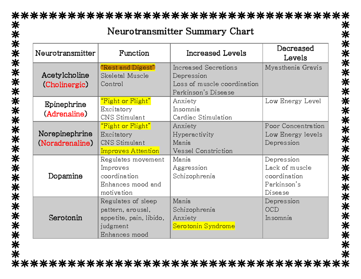 Neurotransmitter Function Summary Chart: Key Roles and Effects ...