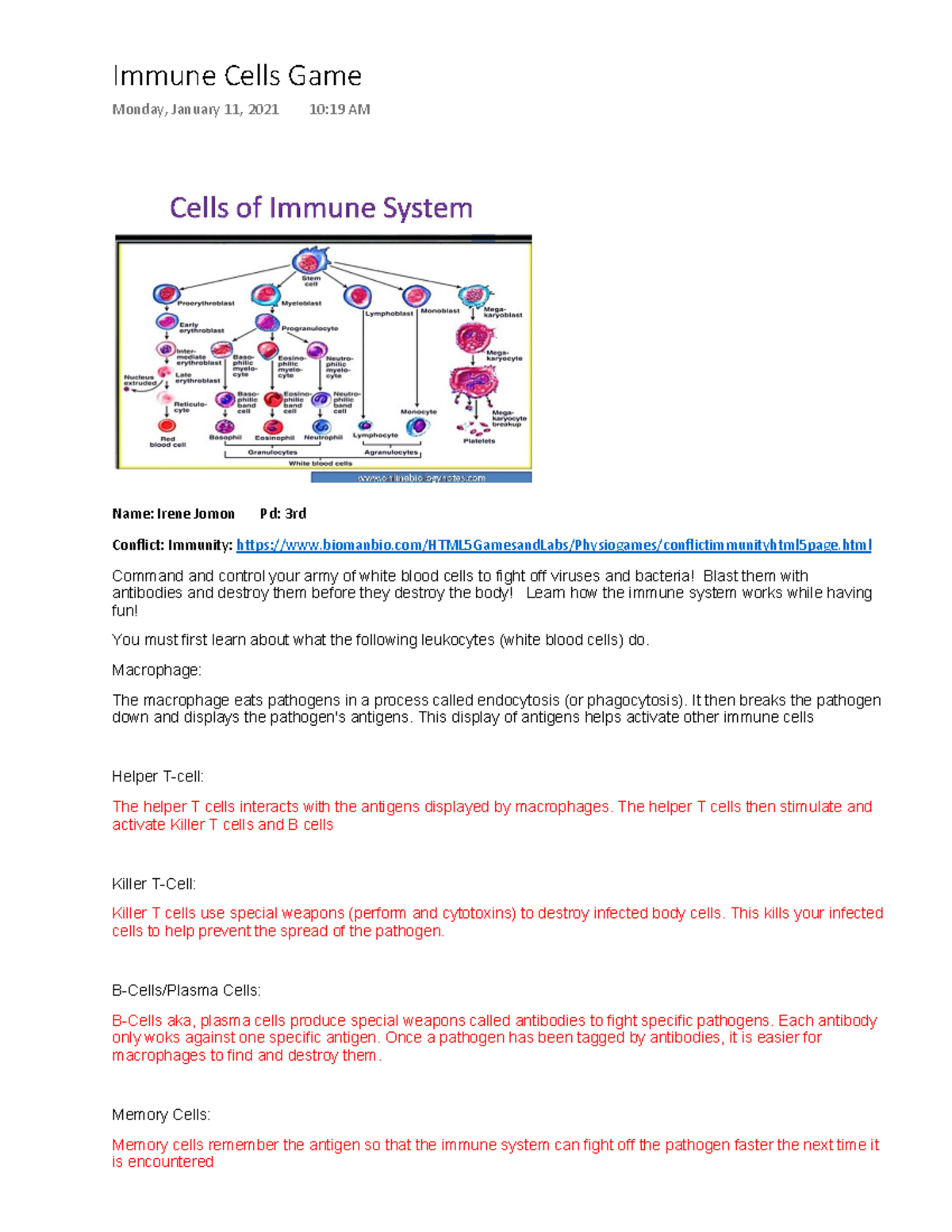 Immune Cells G- Game Overview and Functions of Leukocytes - Studocu