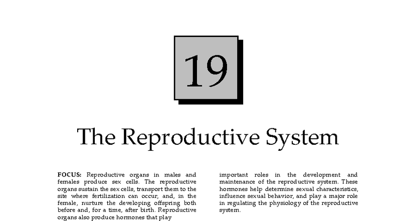 Reproductive System Overview: Key Concepts and Terminology - Studocu