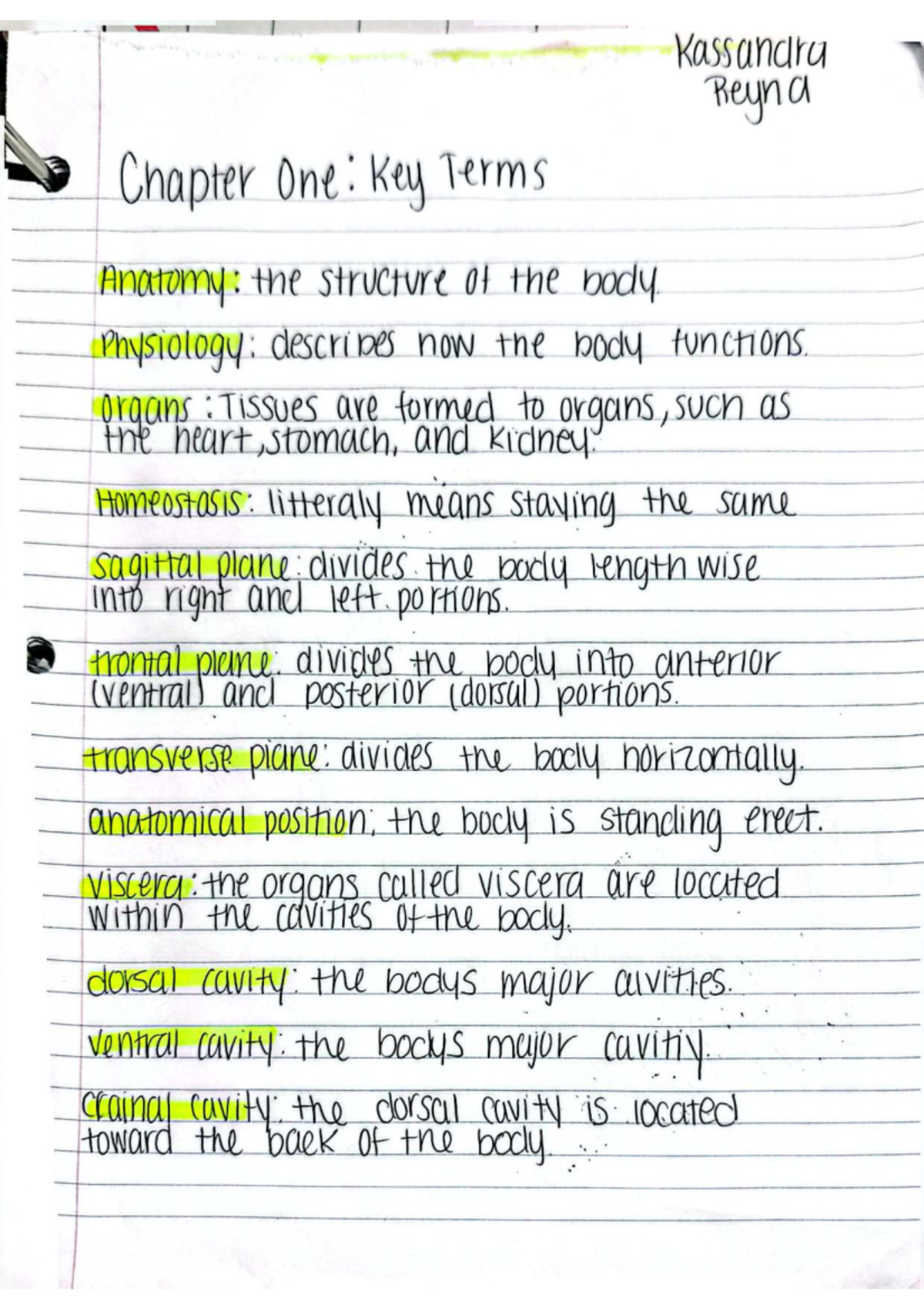 BIO101 Lecture Notes: Chapter 1 - Key Terms and Body Structure - Studocu