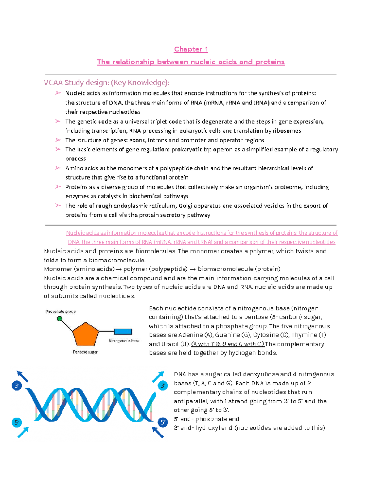 Biology Unit 3 & 4 - VCE Bio: Nucleic Acids & Proteins Overview - Studocu