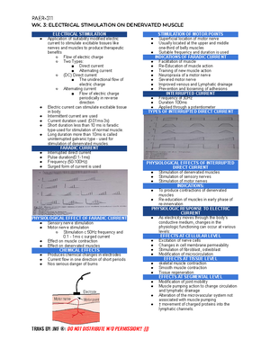 Basal Ganglia - NRAT - Anatomical Structures Corpus striatum ...