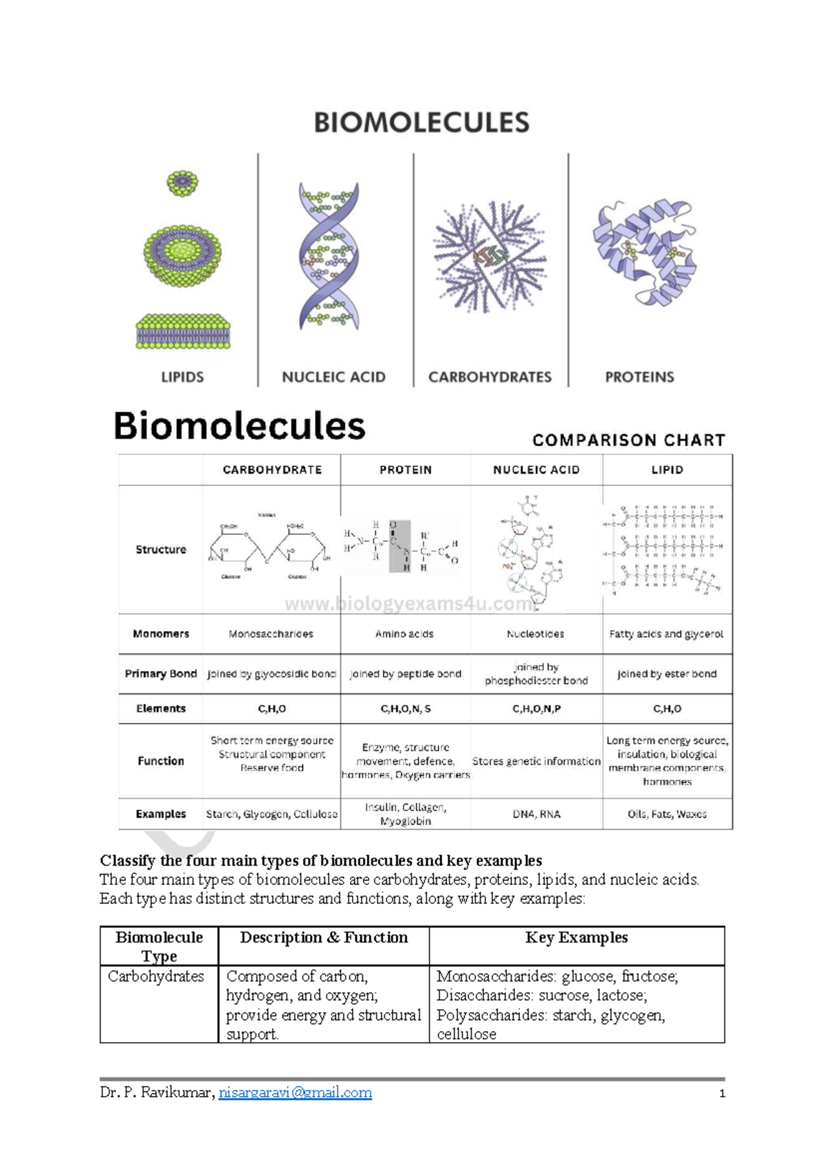 Unit 1 - Biomolecules: Types, Functions, and Examples - Studocu