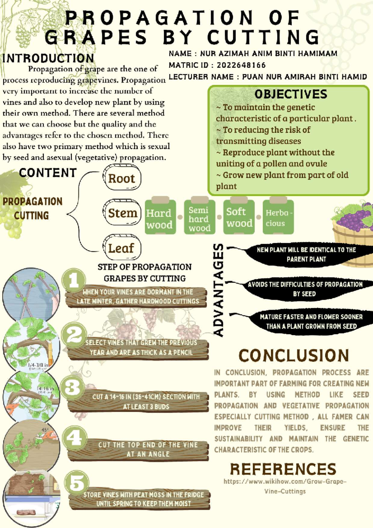 E-poster Agr232 - Grapevine Propagation via Cutting Techniques - Studocu