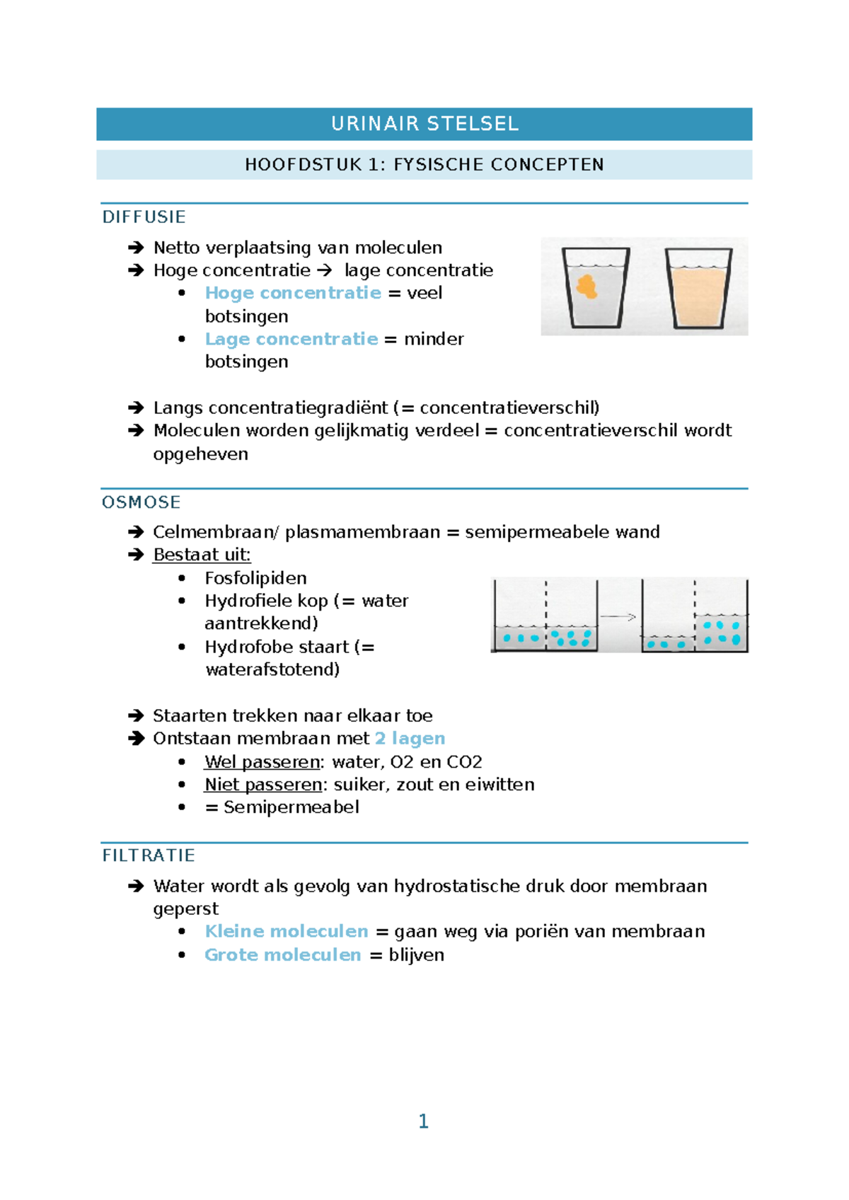 Anatomie samenvatting - URINAIR STELSEL HOOFDSTUK 1: FYSISCHE CONCEPTEN ...