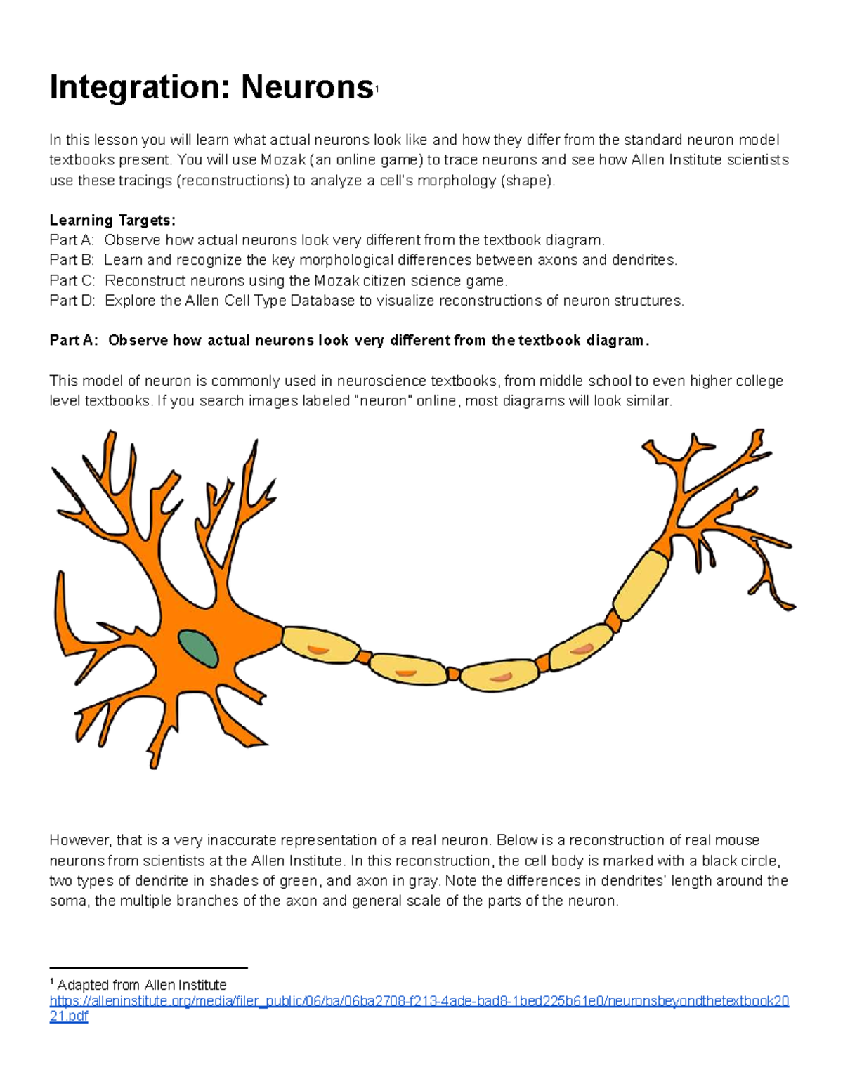 Integration of Neurons: Morphology & Tracing in Mozak - Studocu