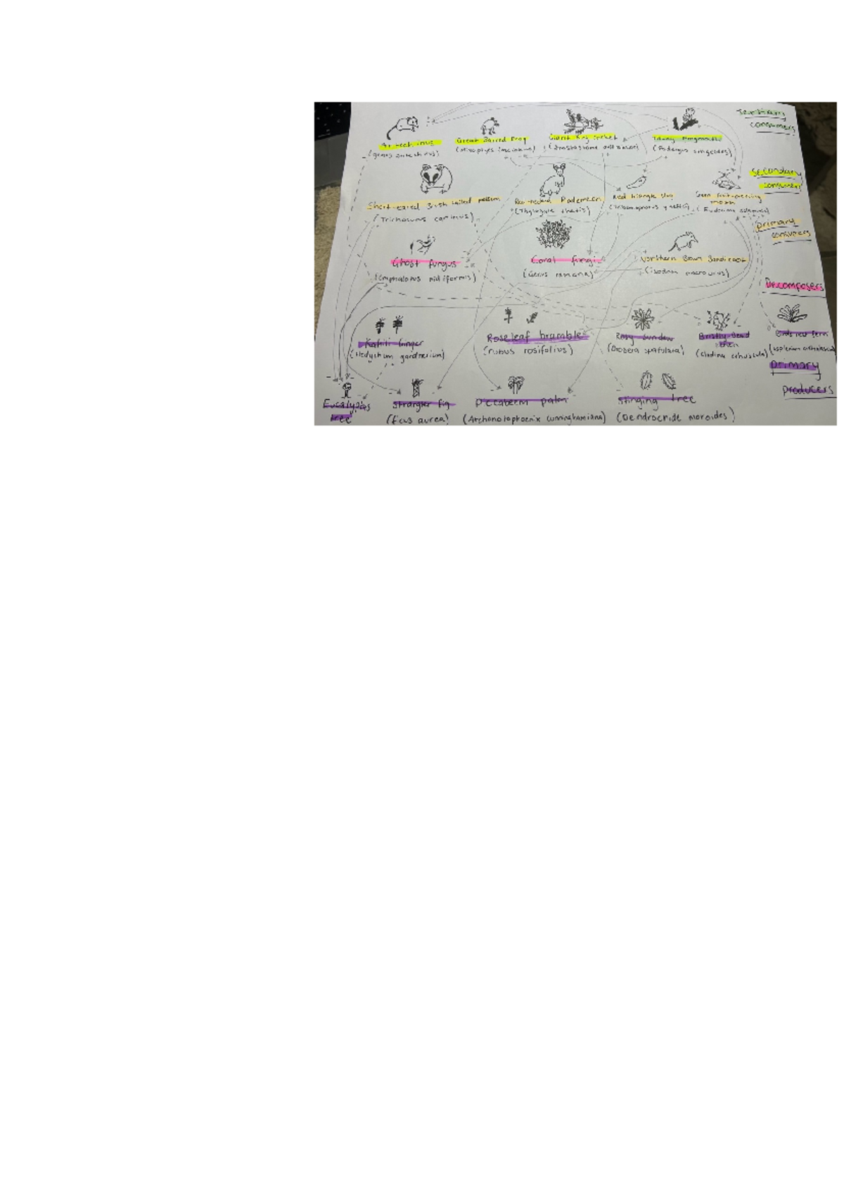Interaction Map and Legend for Tertiary Consumers in Ecosystems - Studocu