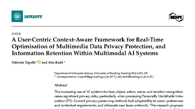 A Framework for Dynamic Privacy Protection in Multimodal AI Systems (CS ...