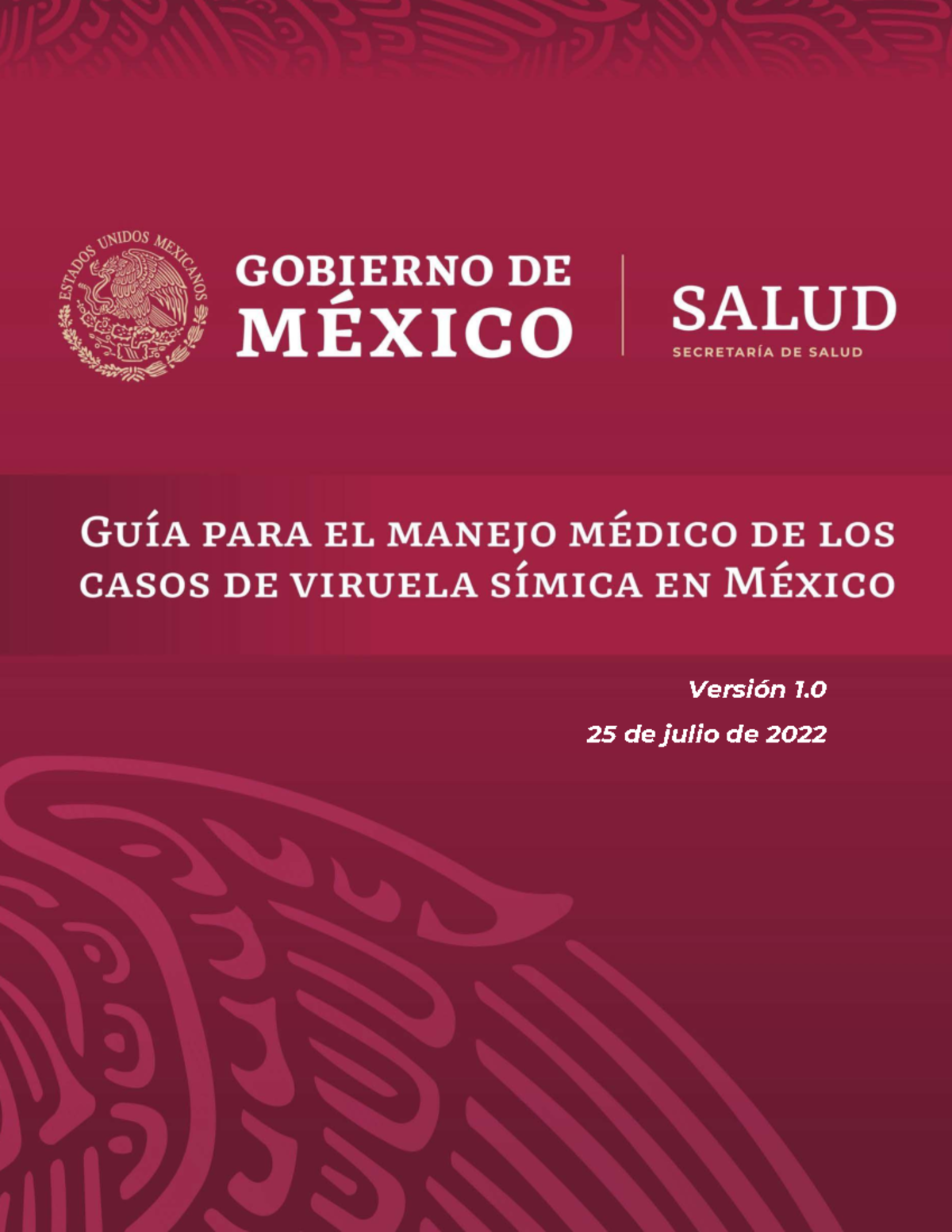Guía Médica para el Manejo de Casos de Viruela Símica en México ...