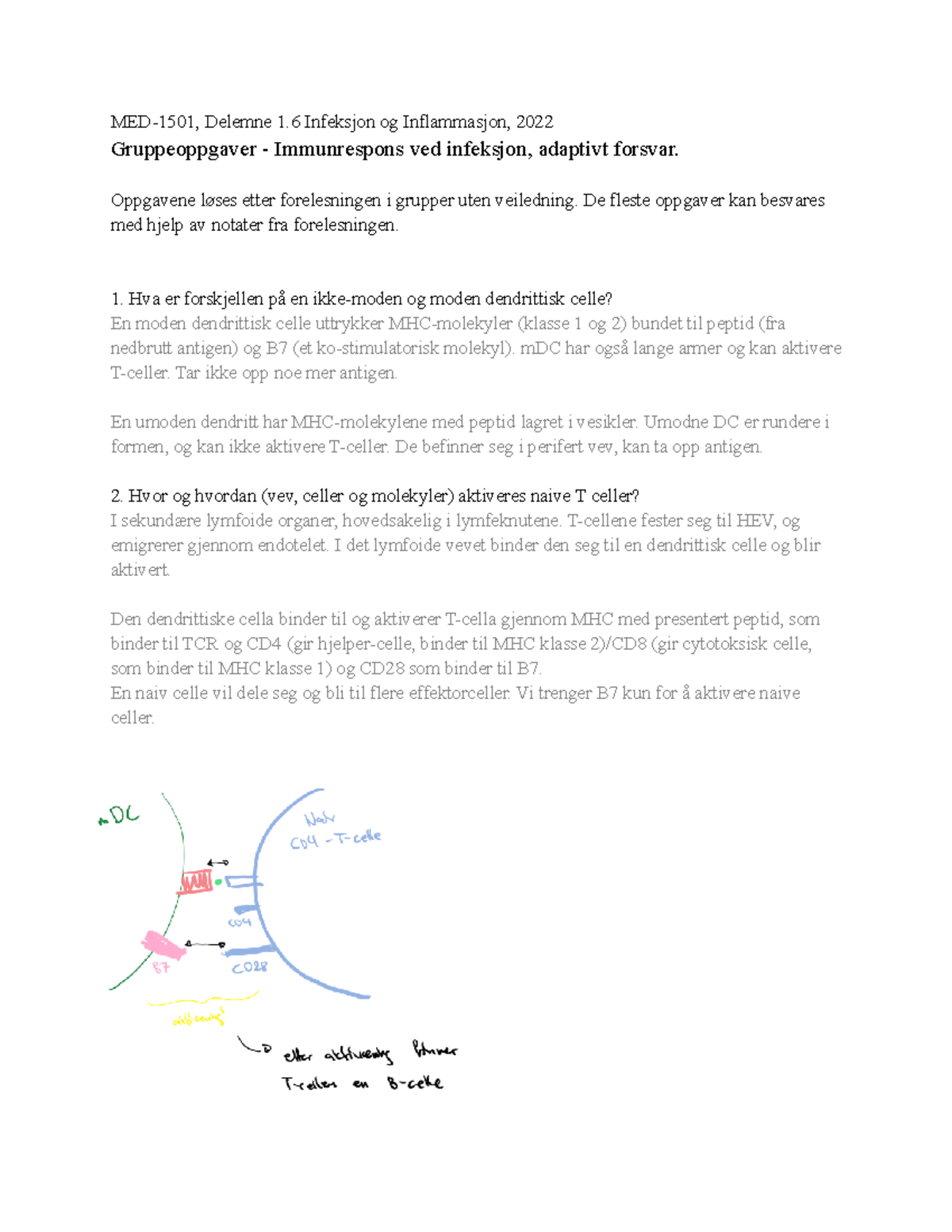 2 Gruppeoppgaver Immunrespons ved infeksjon adaptivt forsvar - MED-1501 ...