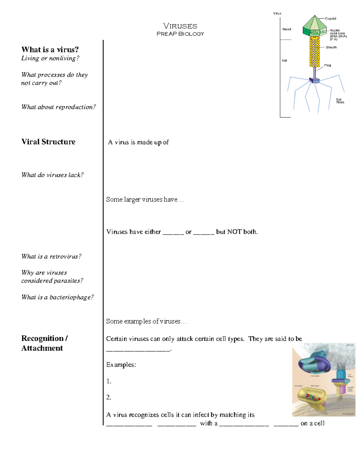 2015 Viruses CN Notes - Viruses PreAP Biology What is a virus? Living ...