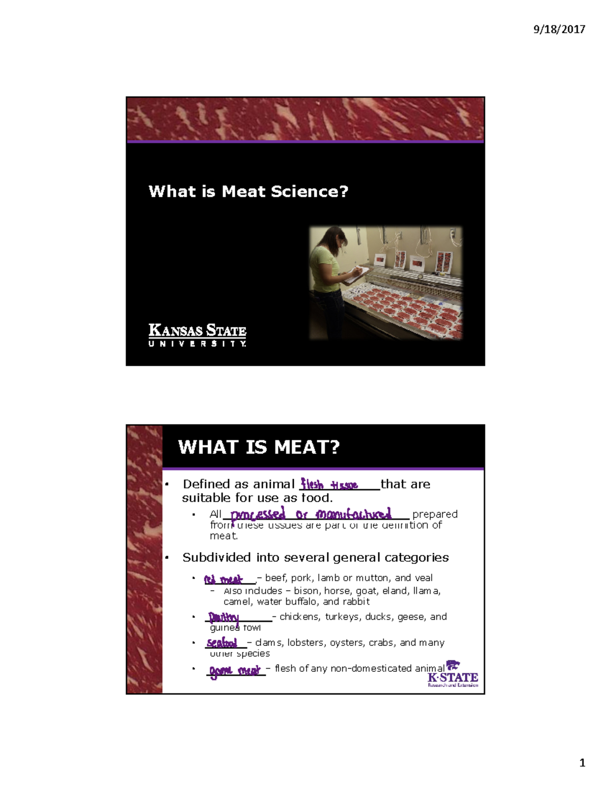 Meat Science: Understanding Muscle Structure and Composition Essentials ...