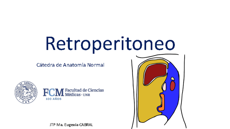 UP1 - Anatomía Normal: Retroperitoneo y sus Estructuras - Studocu