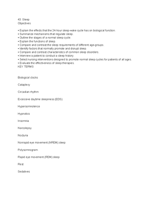 Comprehensive Overview of Male Genitourinary System Anatomy and ...