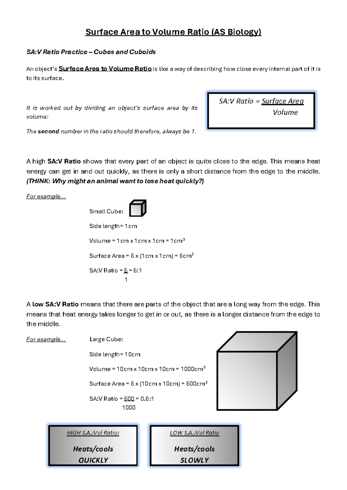 HW - 12E1 SA:V Ratio Practice for Cubes and Cylinders - Studocu